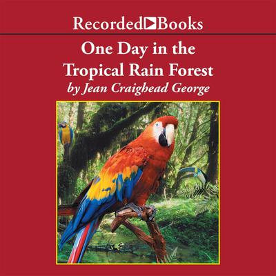 One Day in the Tropical Rain Forest Audiobook, written by Jean ...